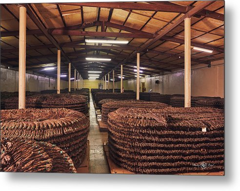 Pilon - Metal Print – RP Art Gallery